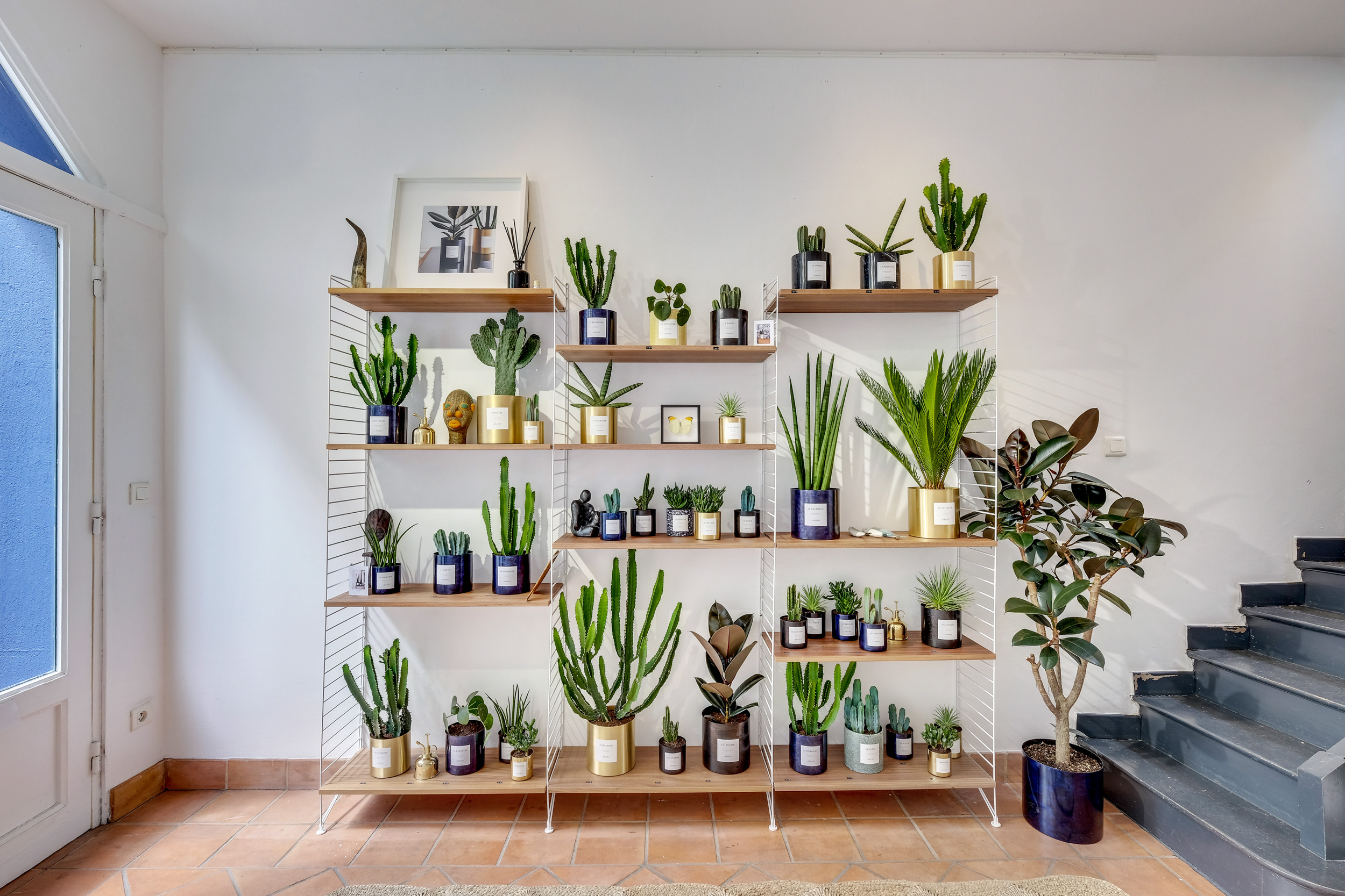 Etude de cas de la boutique By Charlot | Shoootin