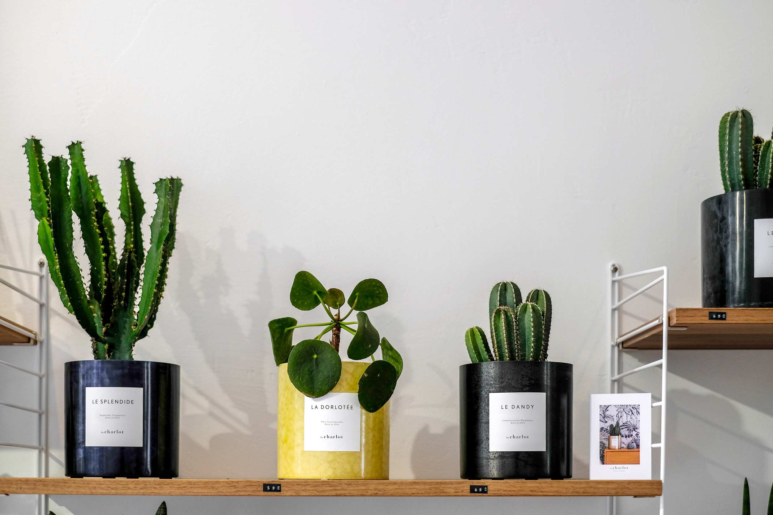 Etude de cas de la boutique By Charlot | Shoootin